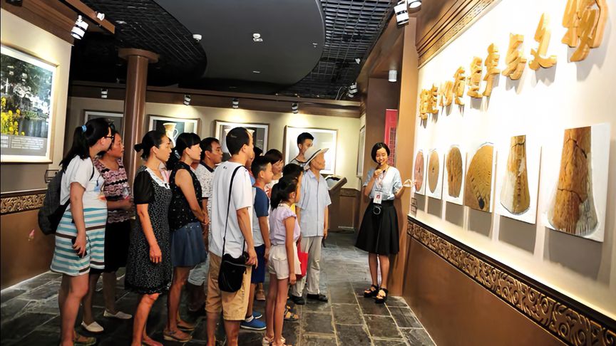 导游的分类和作用