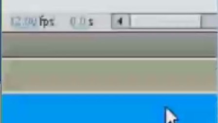 FLASH 惜玉老师讲【鼠绘蜜蜂】2010年8月5日