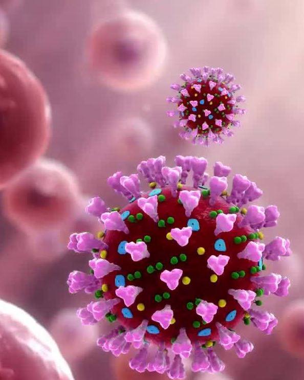 那么冠状病毒到底是如何攻入人体的呢?了解一下!做好防护措施最重要!