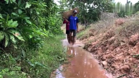 抓鱼:农村男子巧妙设置捕鳄鱼陷阱,将这种可怕的动物扛回家