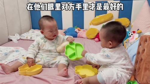 来呀,互相伤害呀#双胞胎打架平时 #互相伤害的平时 #萌娃平时