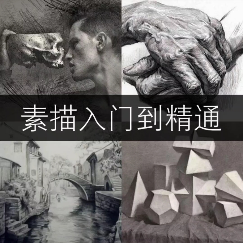 素描教程水粉速写彩铅全套视频教程静物人像动物风景绘画自学教程