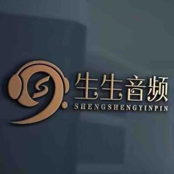 生生音频科技 
