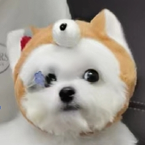 关爱米糕成长协会 