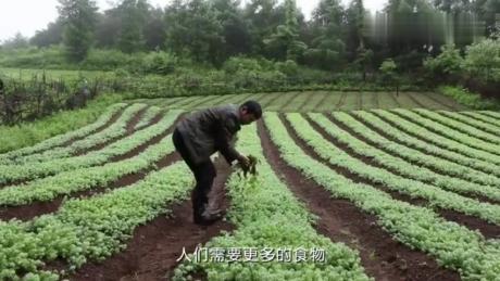 土壤污染到底对人类环境有多大影响