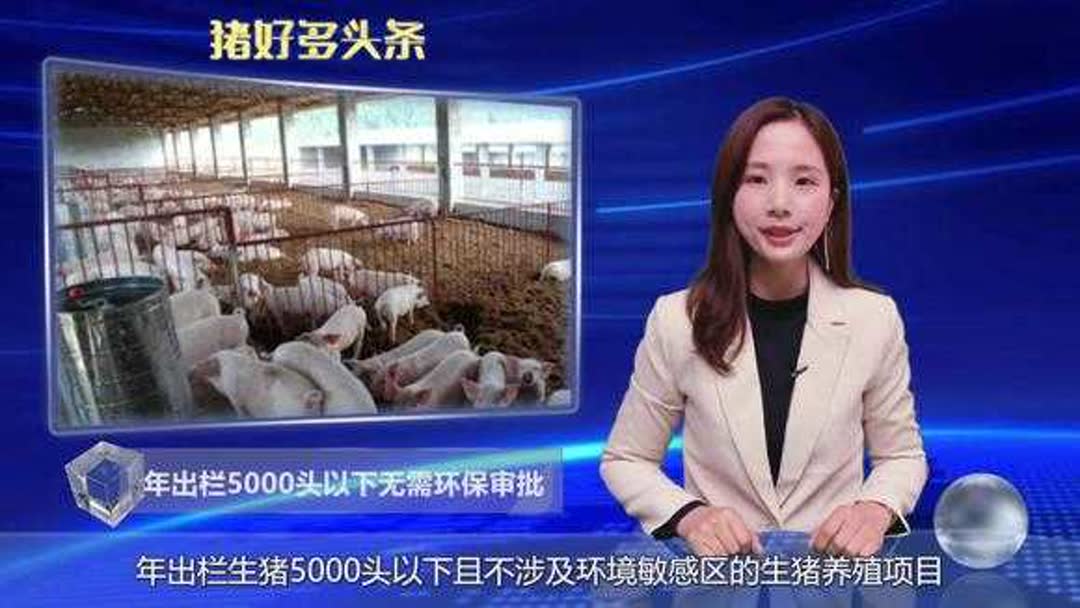2020年养猪新政策:年出栏生猪5000头以下无需环保审批!