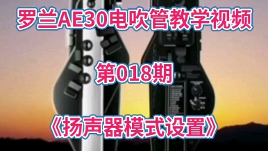 第018期《扬声器模式设置》罗兰AE30电吹管系列教学视频,中文最新...