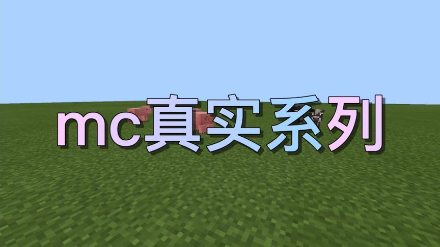 mc真实系列