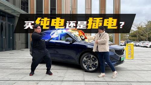 30万出头,纯电混动和插混该怎么选?