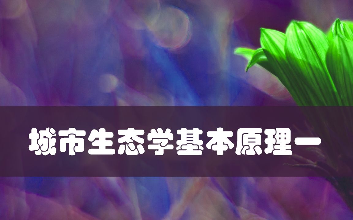 17城市生态学基本原理一