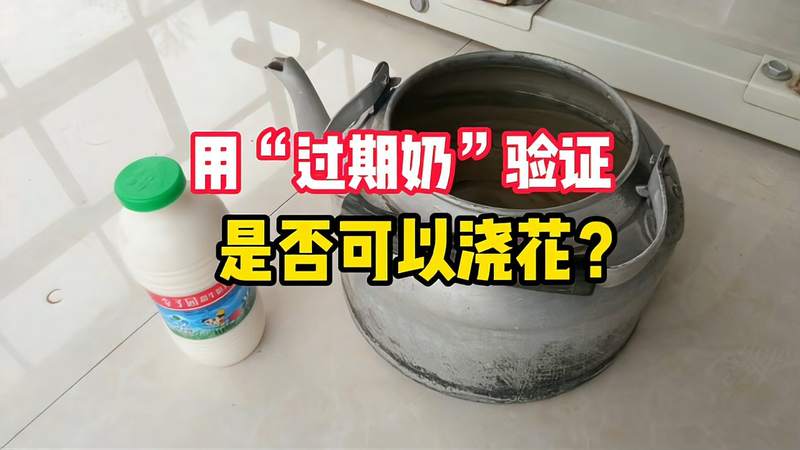 “过期奶”是我这样浇花吗?真如网上所说的有用吗?