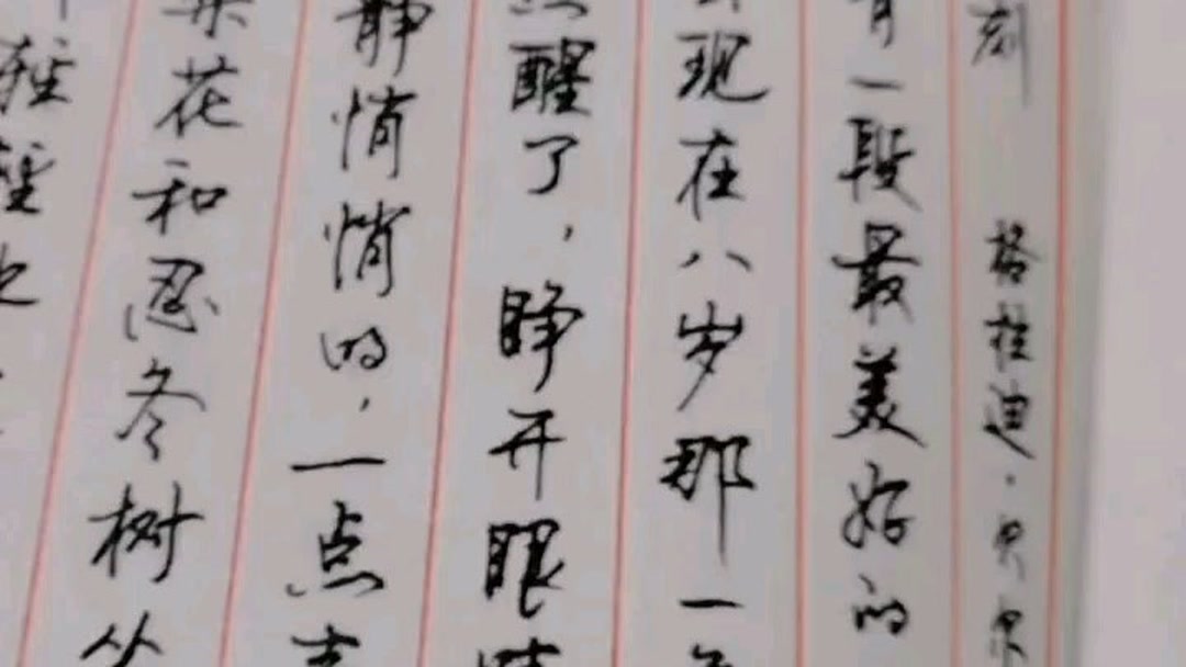【行楷视频】顾仲安书法研习社五一能书社手写行书习作视频缩影