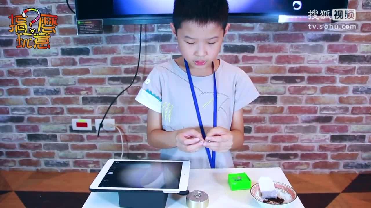 红茶和绿茶有什么不一样