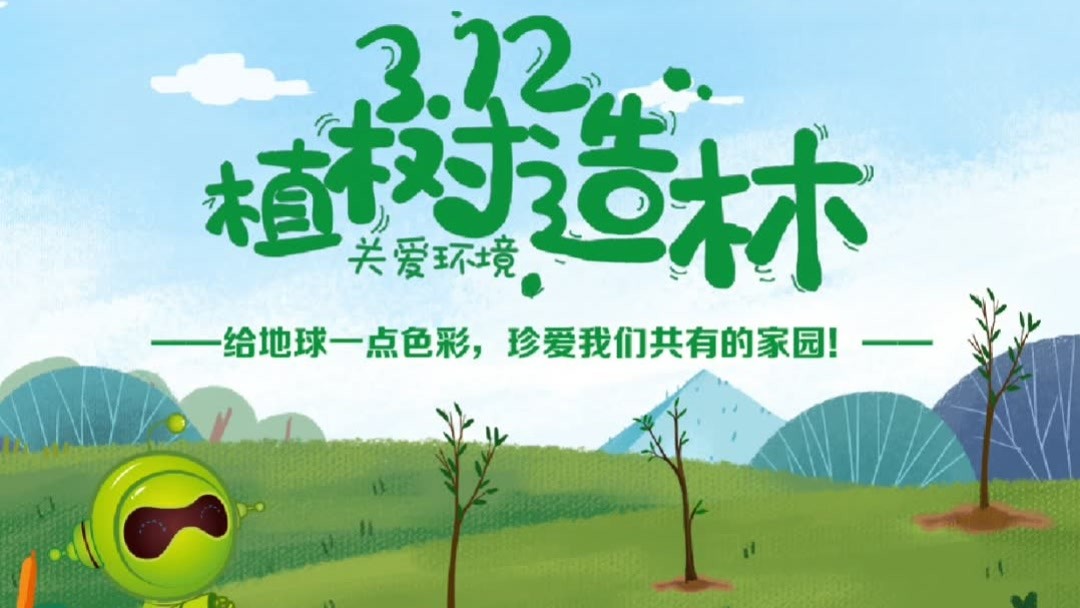 3.12 植树造林