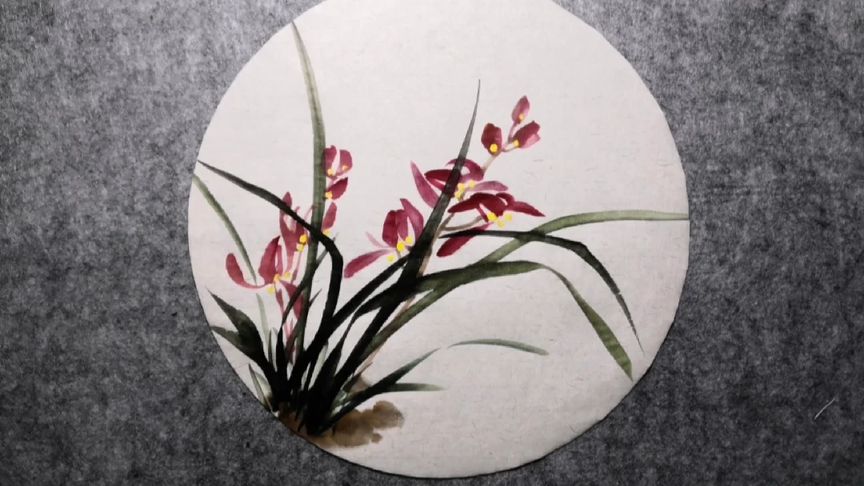 山中君子花朵明艳姿态优雅,形似舞者的纤纤玉手。