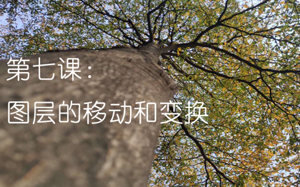 photoshop(PS)第七课,图层的移动和变换
