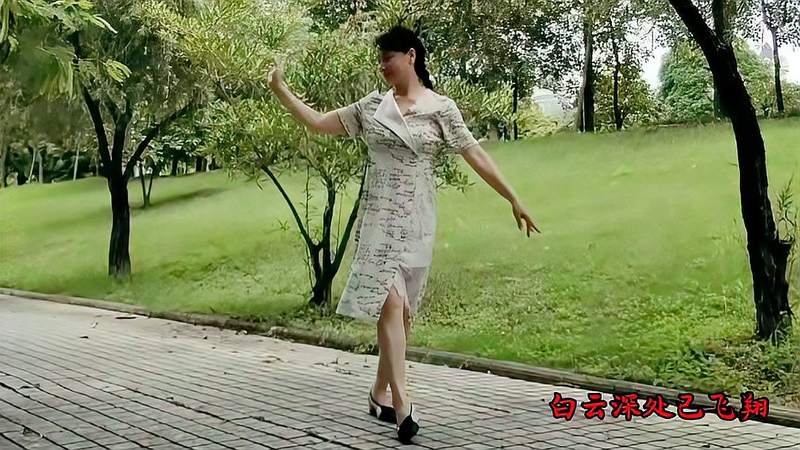 广场舞《我是你的格桑花》简单优美