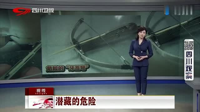 潜藏的危险危险的"牙签弩":刺穿纸板扎破气球轻松刺进猪肉