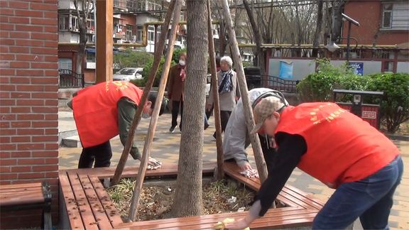 我是志愿者,我们要奉献