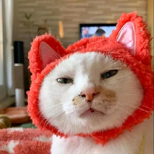 小芳和大头 