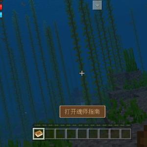 刚根解说 
