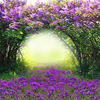 足智多谋清风QSJ 