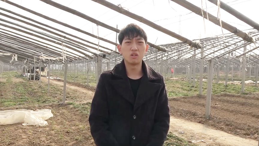 农村韭菜种植最简单的方法,听农村小伙的讲解,非常实用