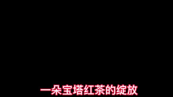 一朵手工玲珑宝塔滇红茶的绽放～