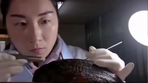 你所知道的珍珠有可能是这样形成的,真的涨见识了