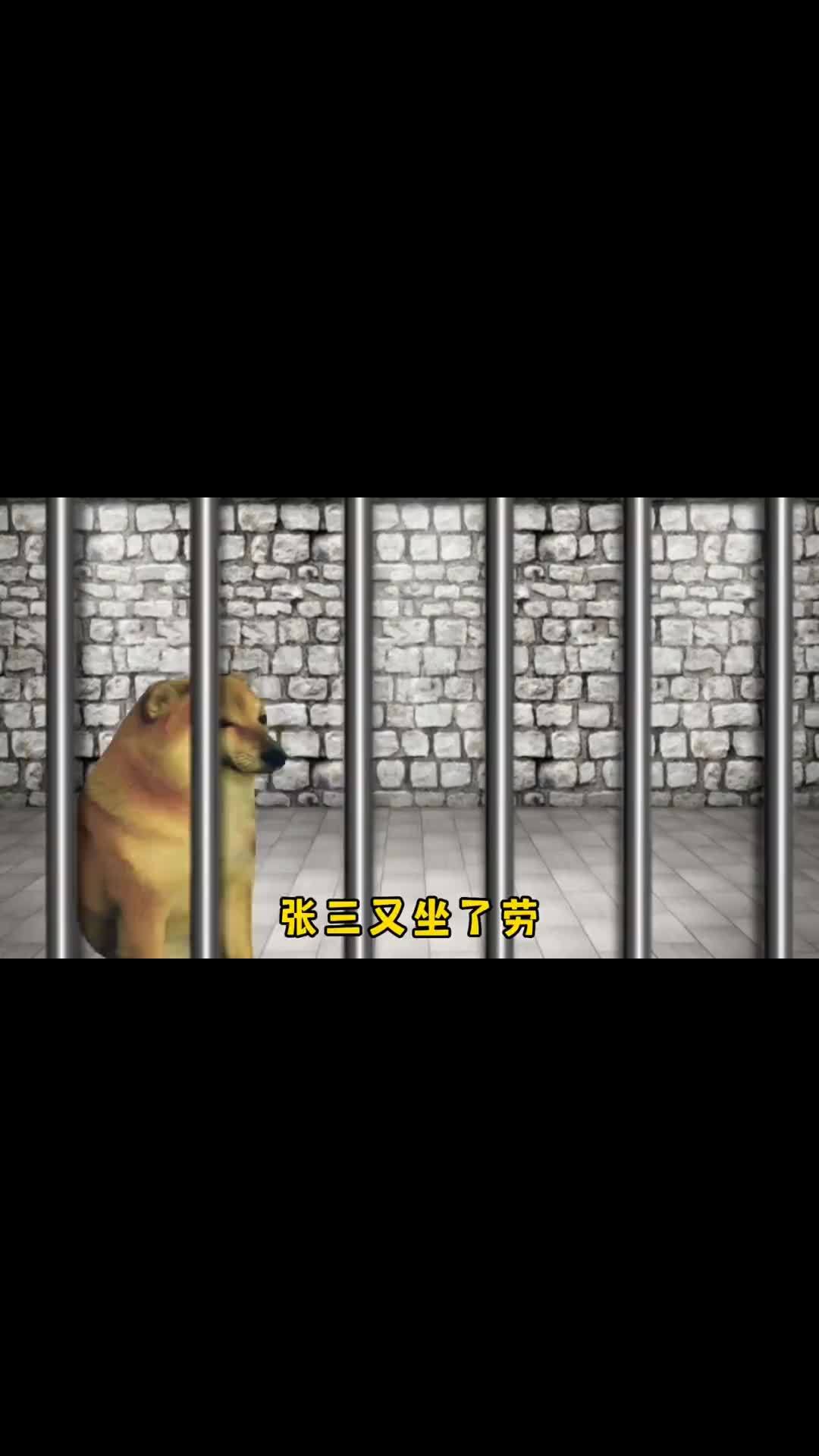 法外狂徒张三的故事!#动画#搞笑