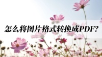怎么将图片格式转换成PDF?你可以这样转换