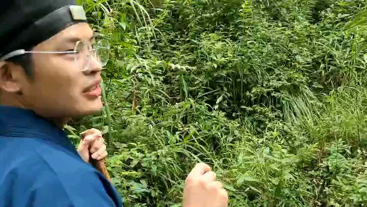 黄精中药黄精为百合科植物滇黄精多花黄精