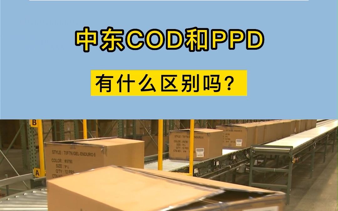 干货分享:沙特电商物流COD和PPD的区别看过来