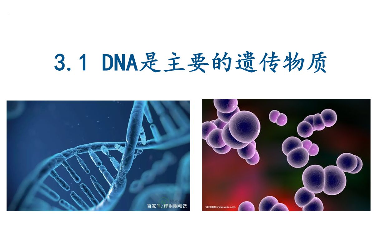 3.1 DNA是主要的遗传物质