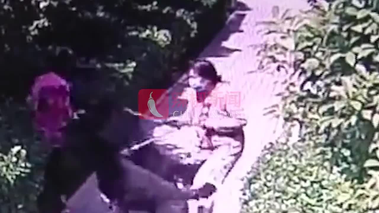 后续来了!河南"狗咬老人"事件涉事人被停职,曾面对监控不承认