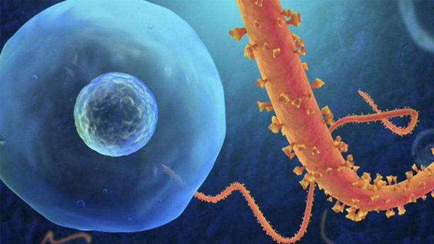 地球上最完美的寄生生物,它被称为“人类黑板擦”,威胁人类安全
