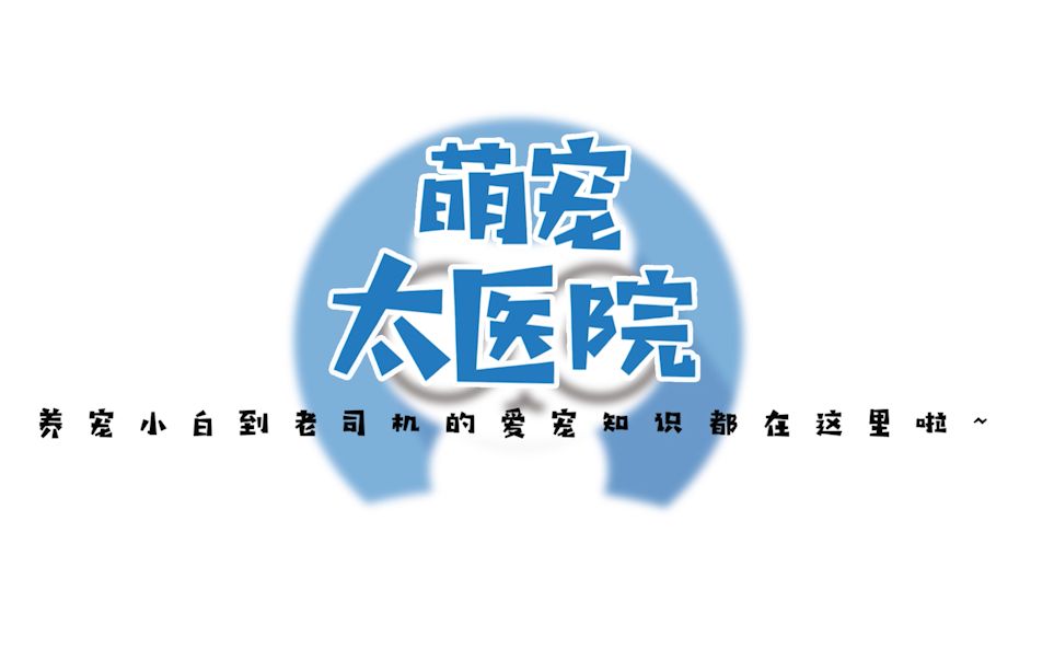 狗狗细小病毒你了解多少?