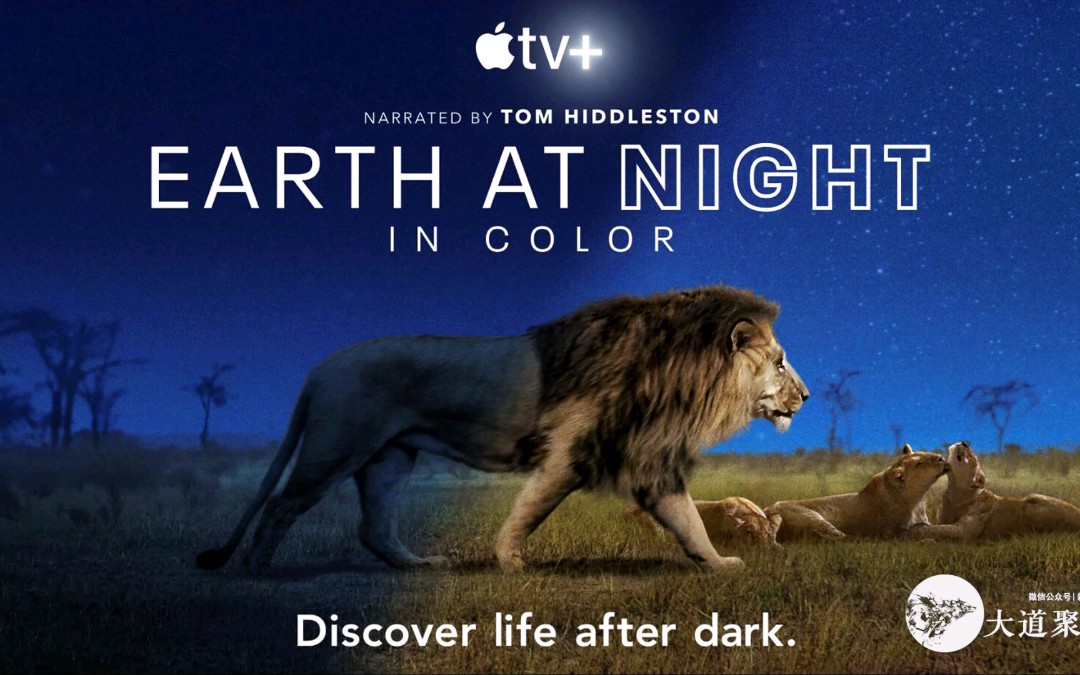 看世界|不可错过的最新BBC优质自然科普纪录片