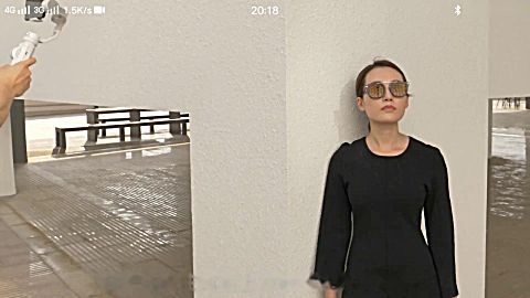 智云4希区柯克和疯狗模式