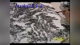 山水画技法焦墨处理