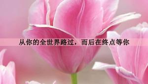 晚安,我对你说:从你的全世界路过,而后在终点等你
