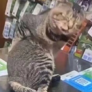 行走的趣事卒 