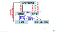 5.3生态系统的物质循环
