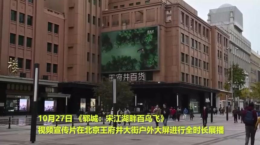 《郓城:宋江湖畔百鸟飞》视频宣传片在北京王府井.