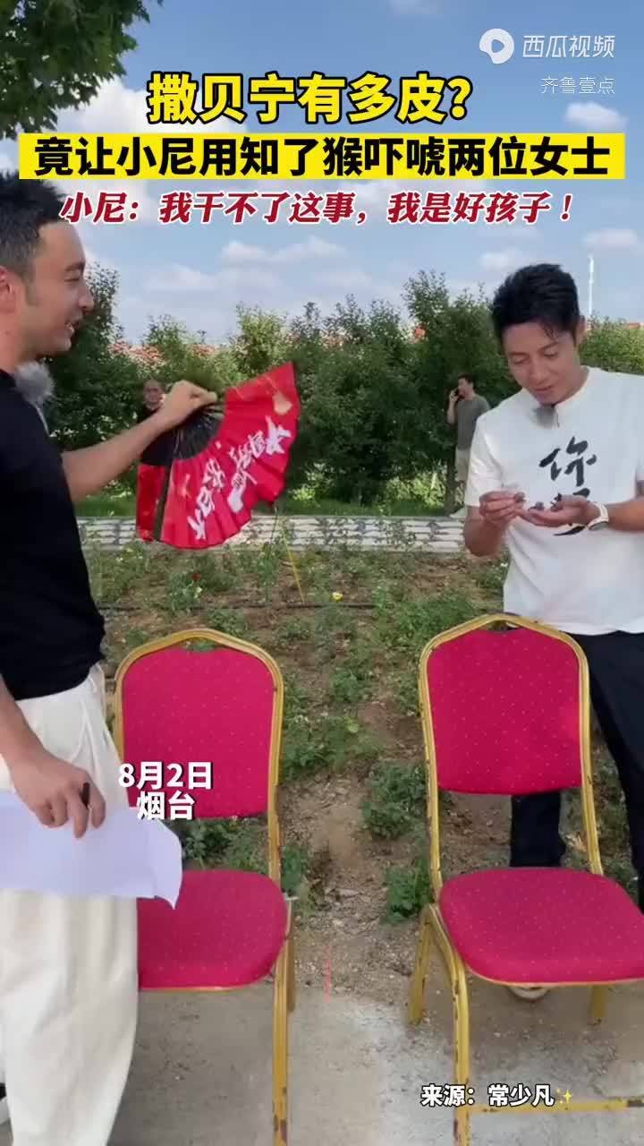 撒贝宁有多皮?竟让小尼用知了猴吓唬两位女士,小尼:我干不了这事,我...