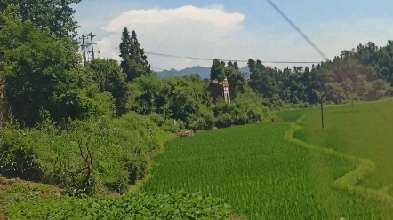 大学暑假三下乡社会实践最后一天,去村办工厂参观后回去的路上