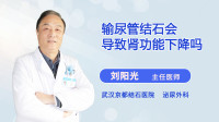 什么?输尿管结石会导致肾功能下降?听听医生怎么说!
