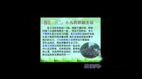 在社会中成长_第一课时(二等奖)(人教部编版八年级上册)_T693920