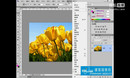 photoshopcc2015门到精通培训视频教程PS抠图PS调色PS合成PS...
