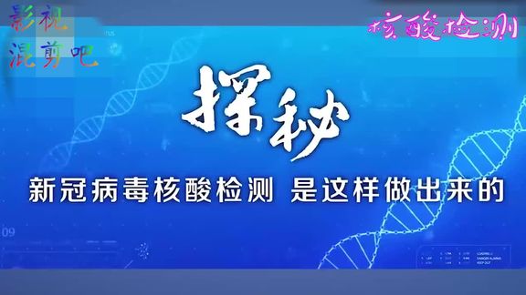 新冠肺炎核酸检测全流程